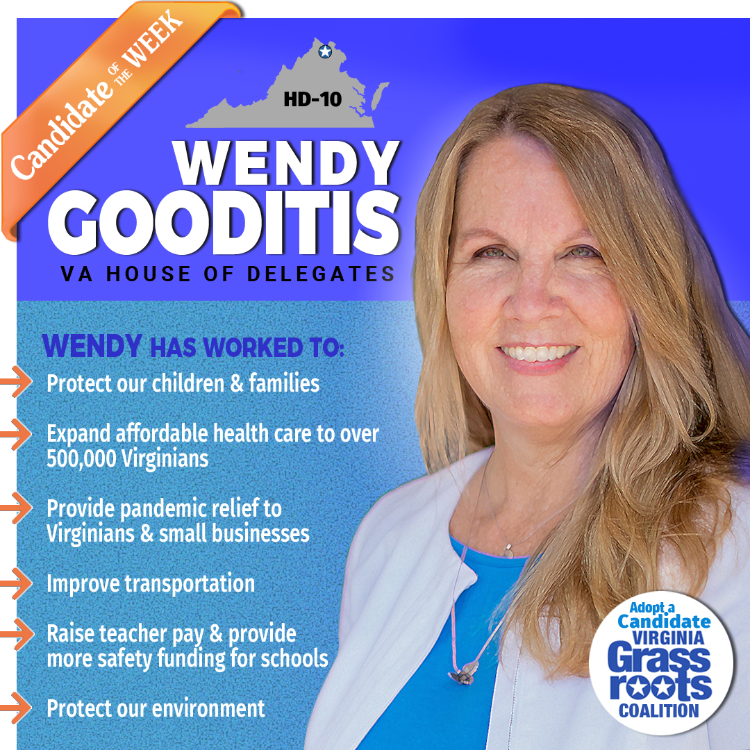 Wendy Gooditis: Virginia House of Delegates Candidate of the Week